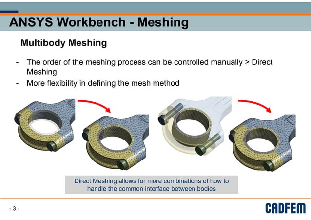 workshop-meshing-proces and different types).pdf