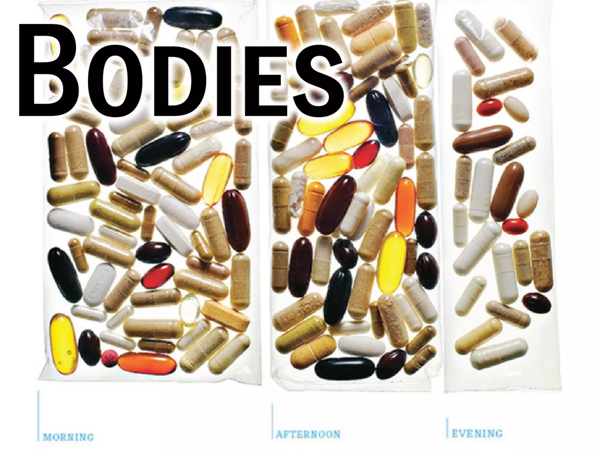 Brains Bots and Bodies | PPT