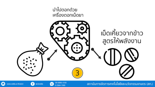 Workshop01-chewable | PPT