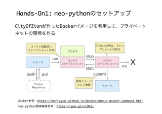 NEO Smartcontract Programing with Python | PPT