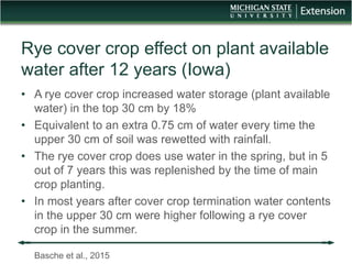 Workshop 1 - Dean Baas | PPT