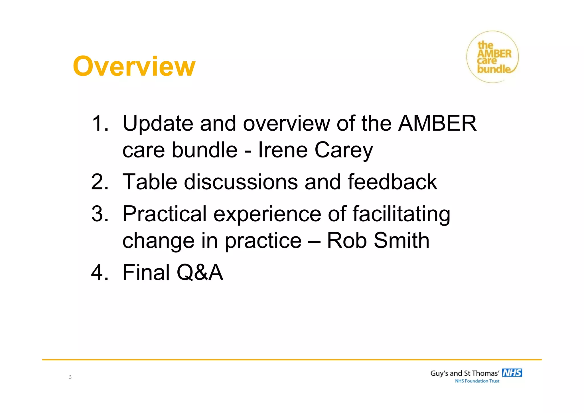 Transforming End of Life Care in Acute Hospitals AM Workshop 2: AMBER ...