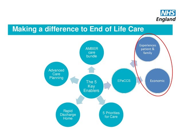 Transforming End of Life Care in Acute Hospitals PM Workshop 5: How t…