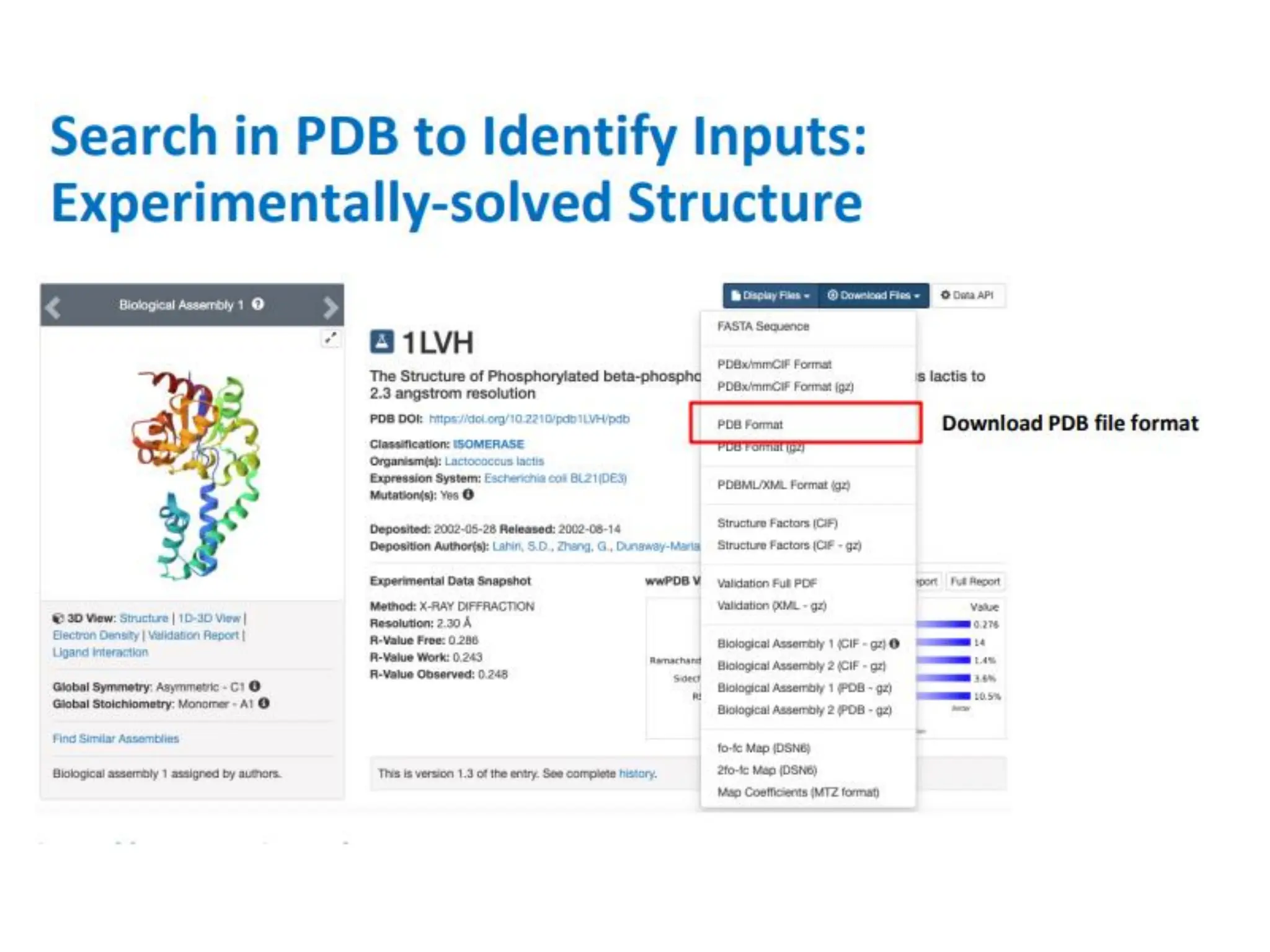 Workshop bioinformatics biology formation.pdf
