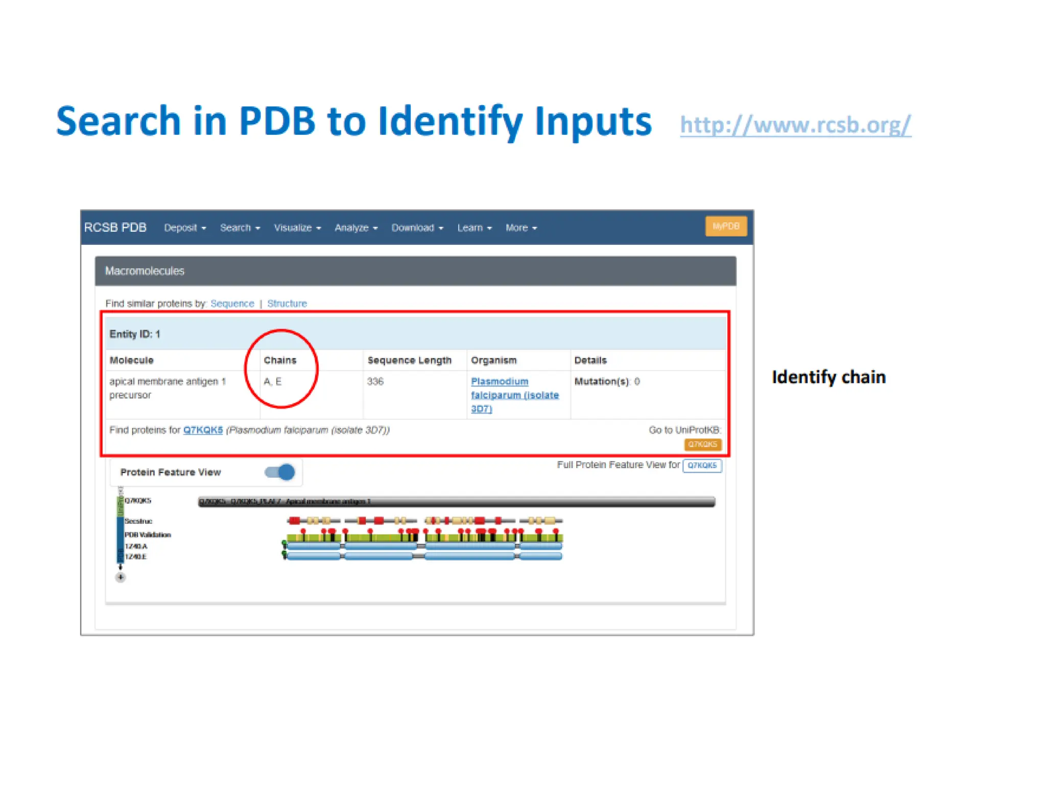Workshop bioinformatics biology formation.pdf