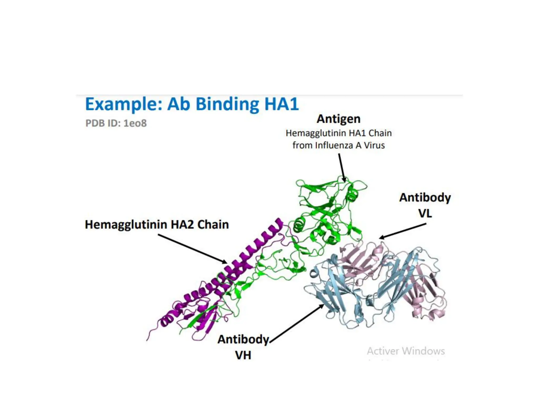 Workshop bioinformatics biology formation.pdf