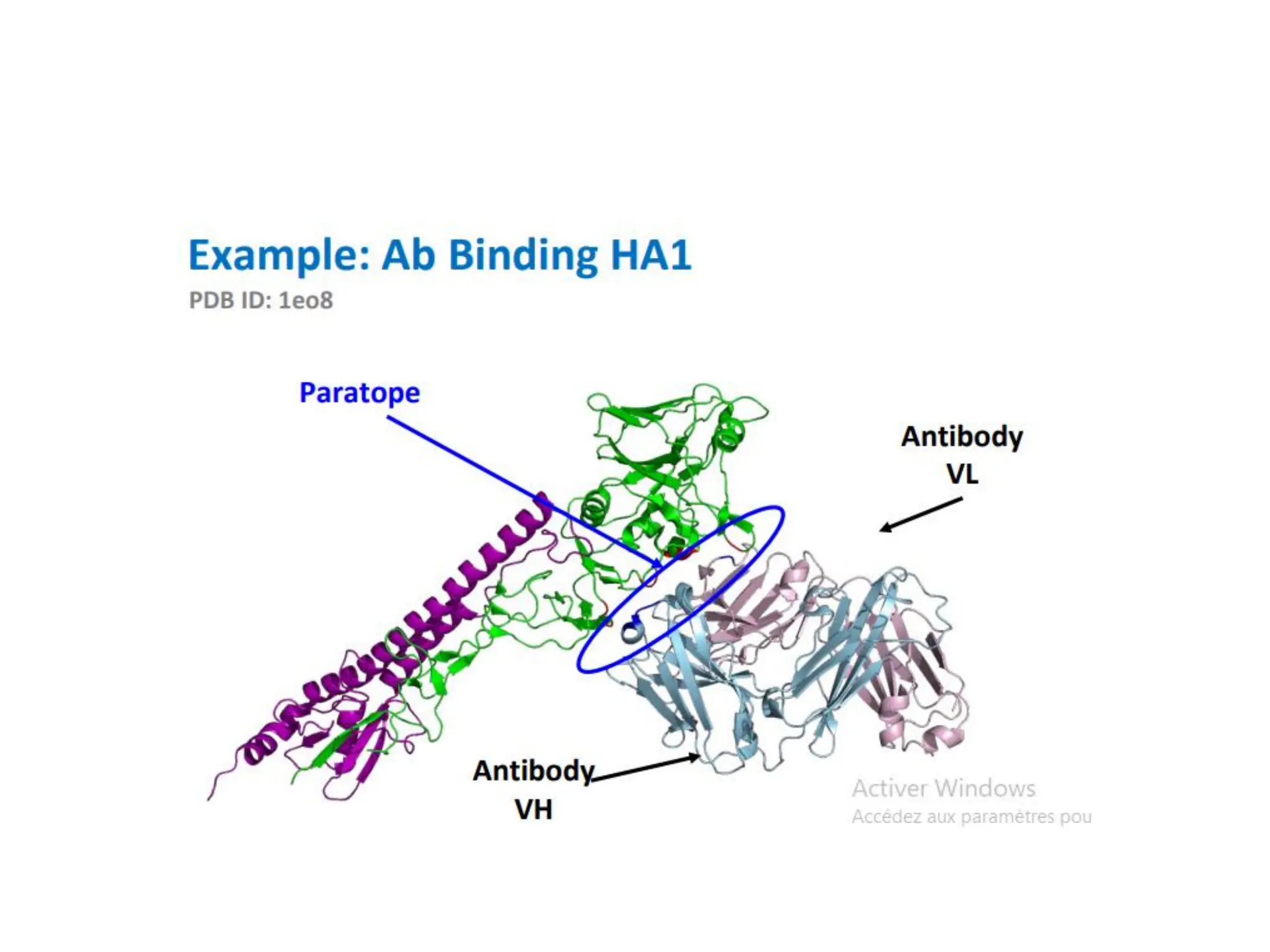 Workshop bioinformatics biology formation.pdf