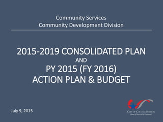 Community Development Consolidated Plan, Action Plan & Budget | PPT