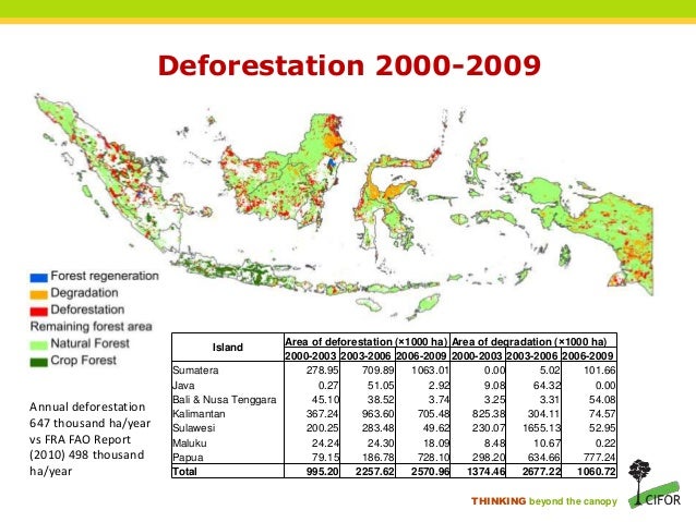 Deforestation Drivers Carbon Emission Estimate And Setting Forest Re…