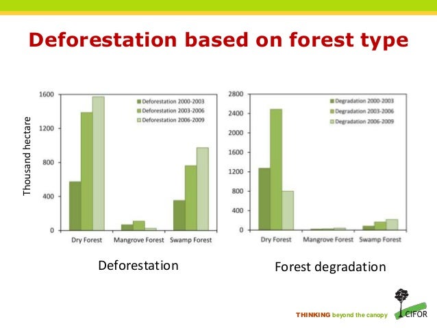 Deforestation Drivers Carbon Emission Estimate And Setting Forest Re…