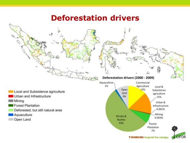 Deforestation Drivers Carbon Emission Estimate And Setting Forest Re…