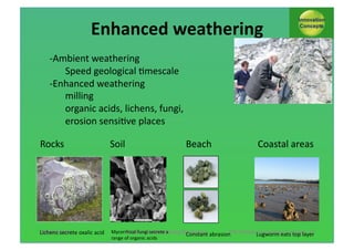 Workshop enhanced weathering | PDF