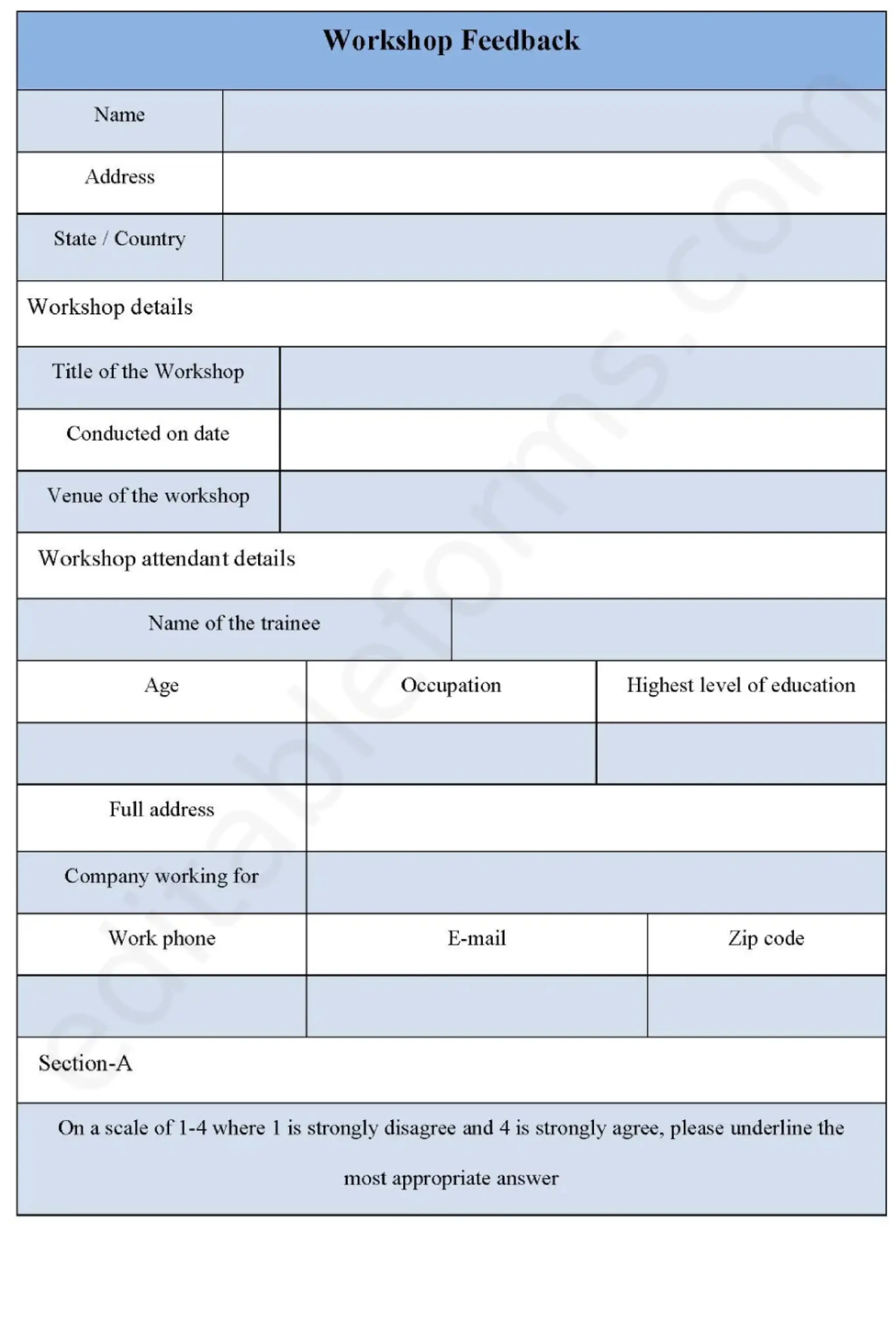 Workshop Feedback Fillable PDF Templates | PDF