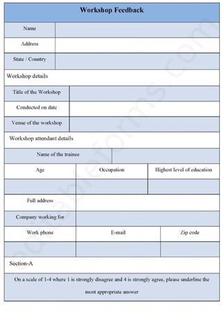 Workshop Feedback Fillable PDF Templates | PDF