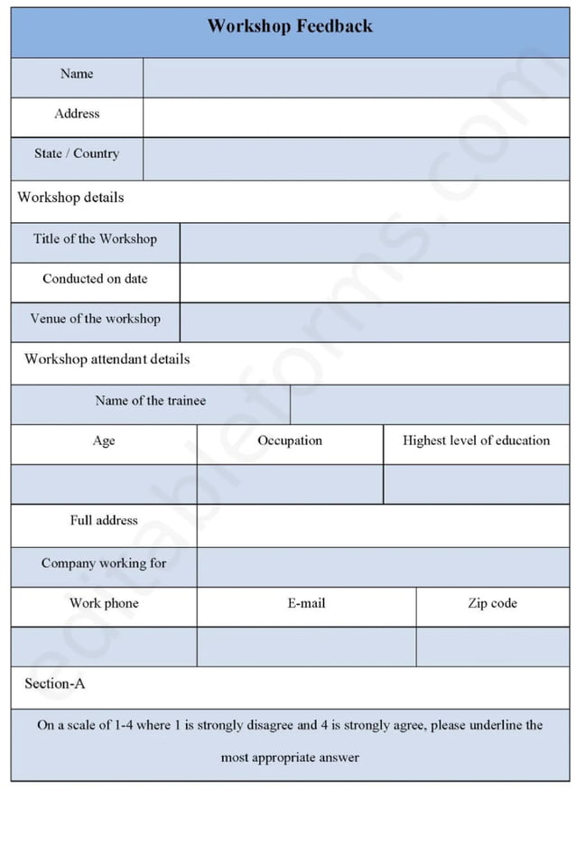Workshop Feedback Fillable PDF Templates | PDF