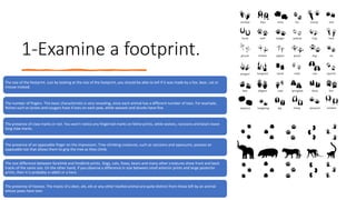 Tracking animal guide.pdf