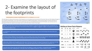 Tracking animal guide.pdf