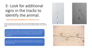 Tracking animal guide.pdf