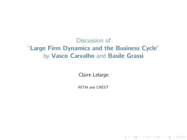 Banque de France's Workshop on Granularity: Claire Lelarge's discussion ...