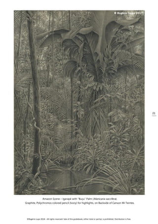 Graphite for Scientific Illustrations | PDF