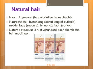 Natural haircare | PPTX