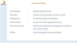 Basics in Project Management | PPTX