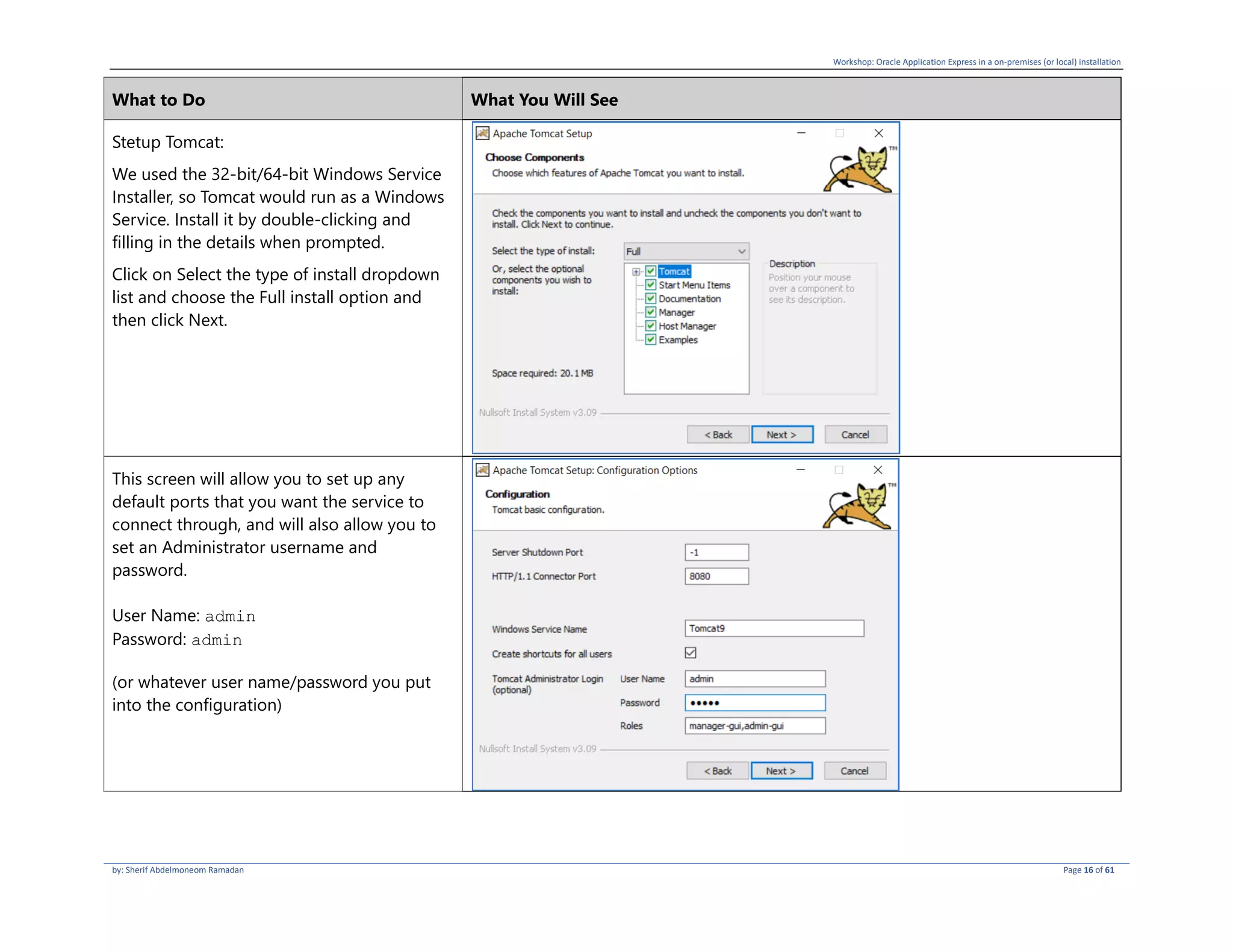 Step By Step Apex Installation On Tomcat Windows Server 2016 Pdf