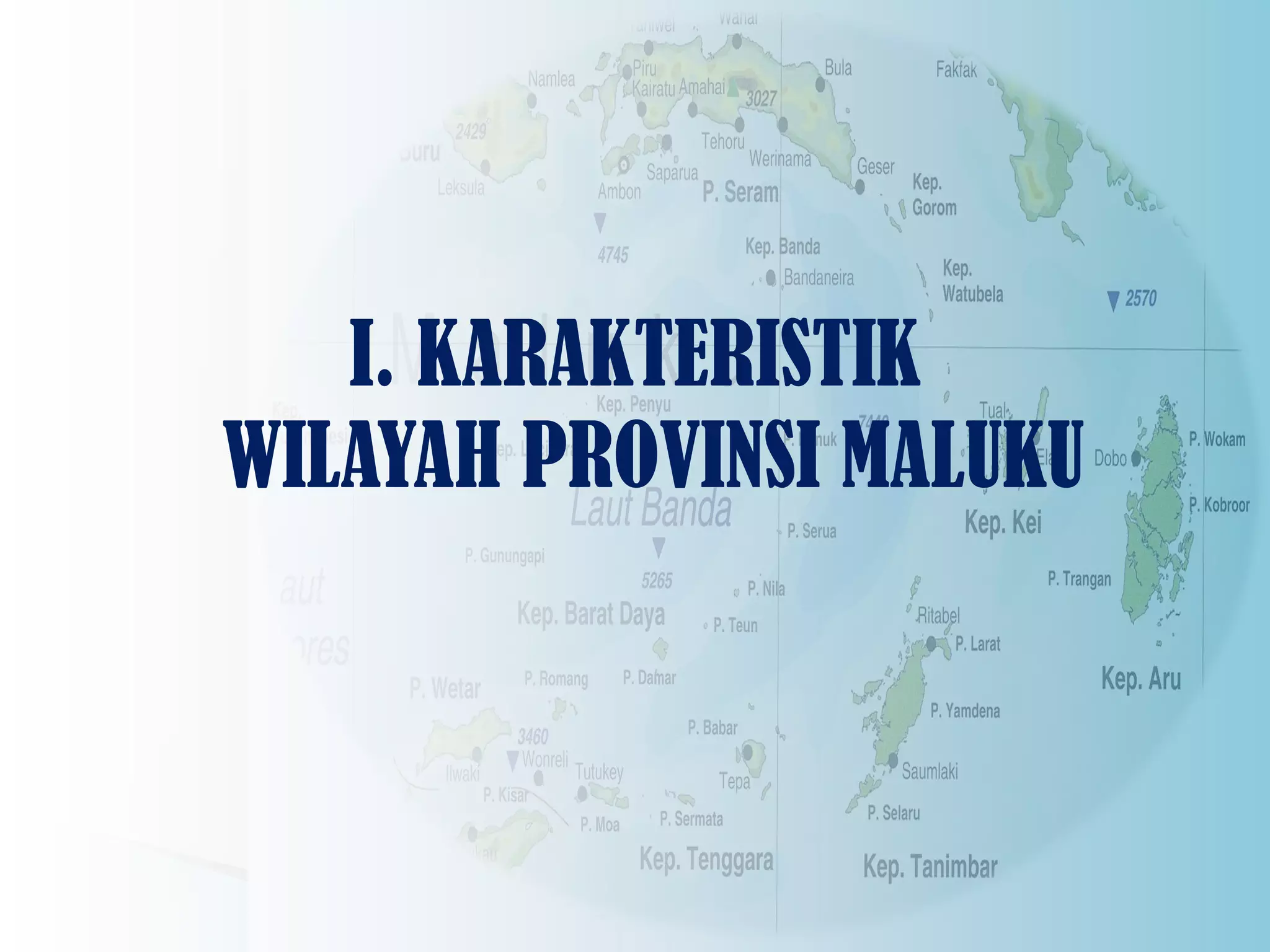 Workshop_perubahan_iklim_Bappeda_Maluku.pdf