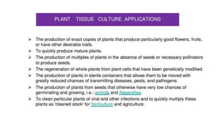 Workshop Plant Tissue Culture Techniques.pptx