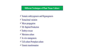 Workshop Plant Tissue Culture Techniques.pptx