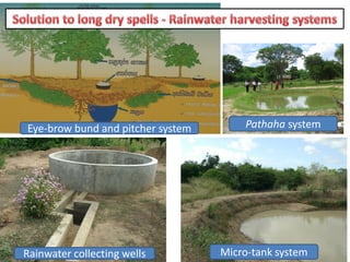 Climate Change & Soil Resource Productivity | PPT