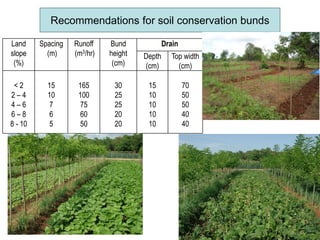 Climate Change & Soil Resource Productivity | PPT