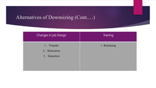 Presentation on Downsizing | PPTX