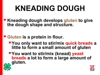 World of Wheat Science | PPT