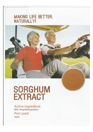 Various natural extract powder for healthy life | PDF