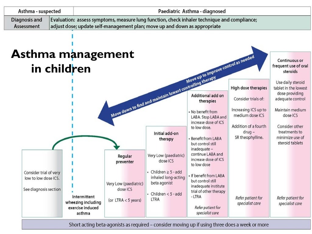 Updates On Pharmacological Management Of Pediatric Asthma