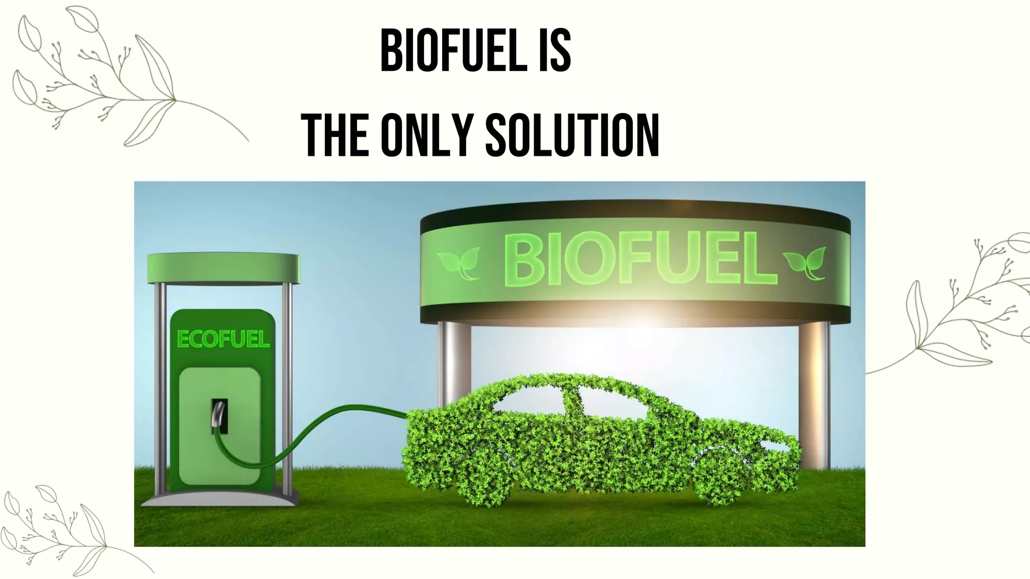 World Biofuel Day.pptx