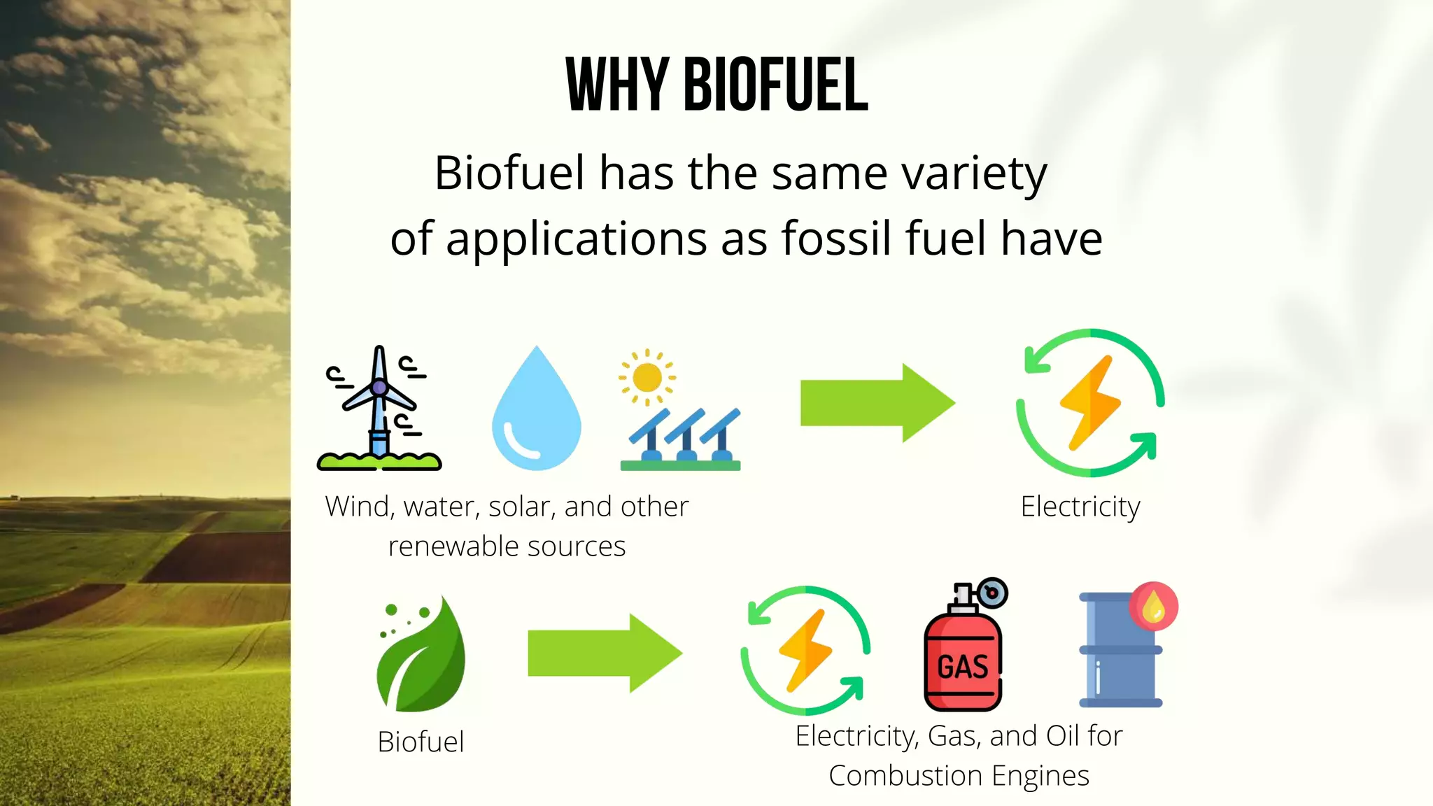 World Biofuel Day.pptx