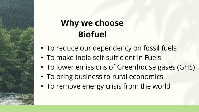 World Biofuel Day.pptx
