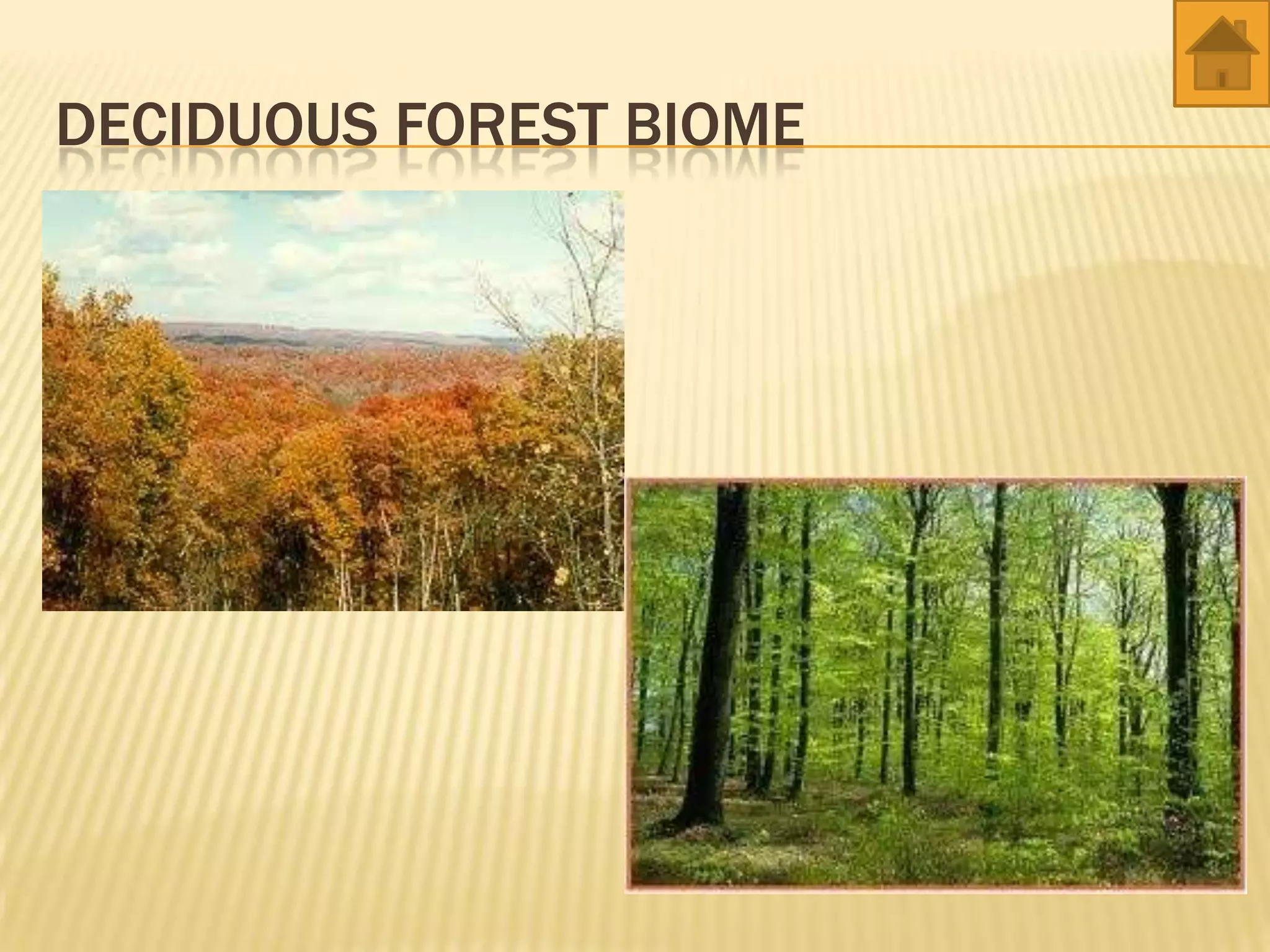 world biomes - animals and plants | PPTX