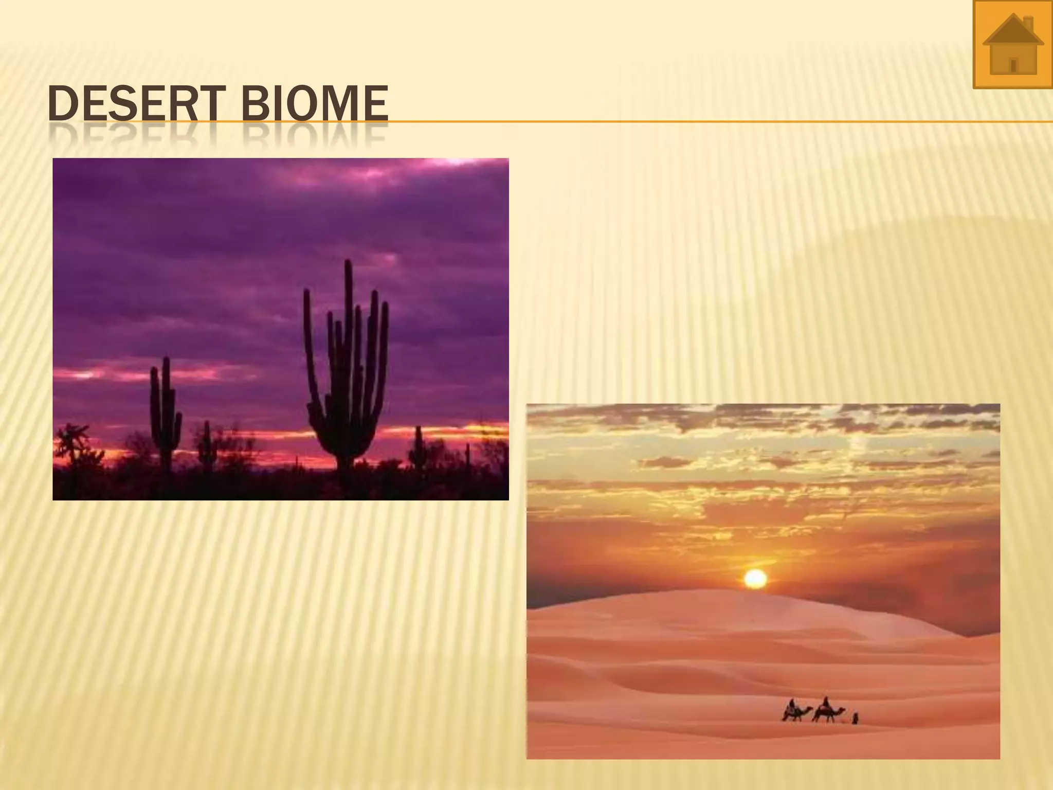 world biomes - animals and plants | PPTX