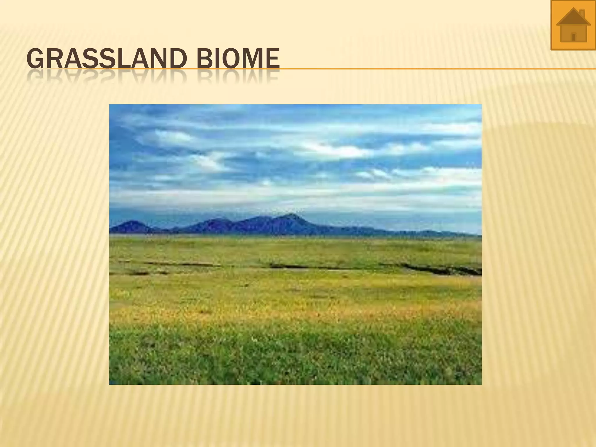 world biomes - animals and plants | PPTX