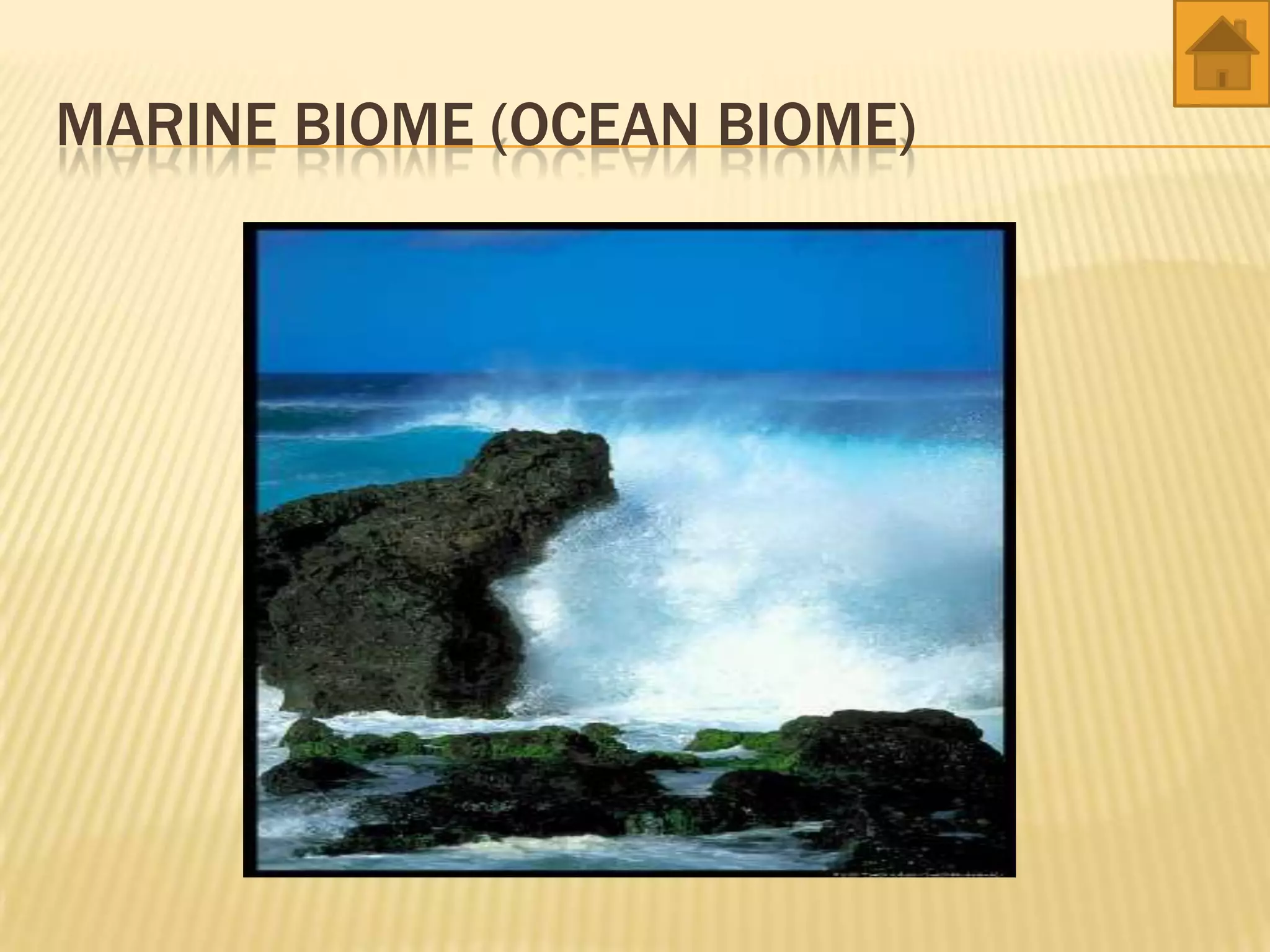 world biomes - animals and plants | PPTX