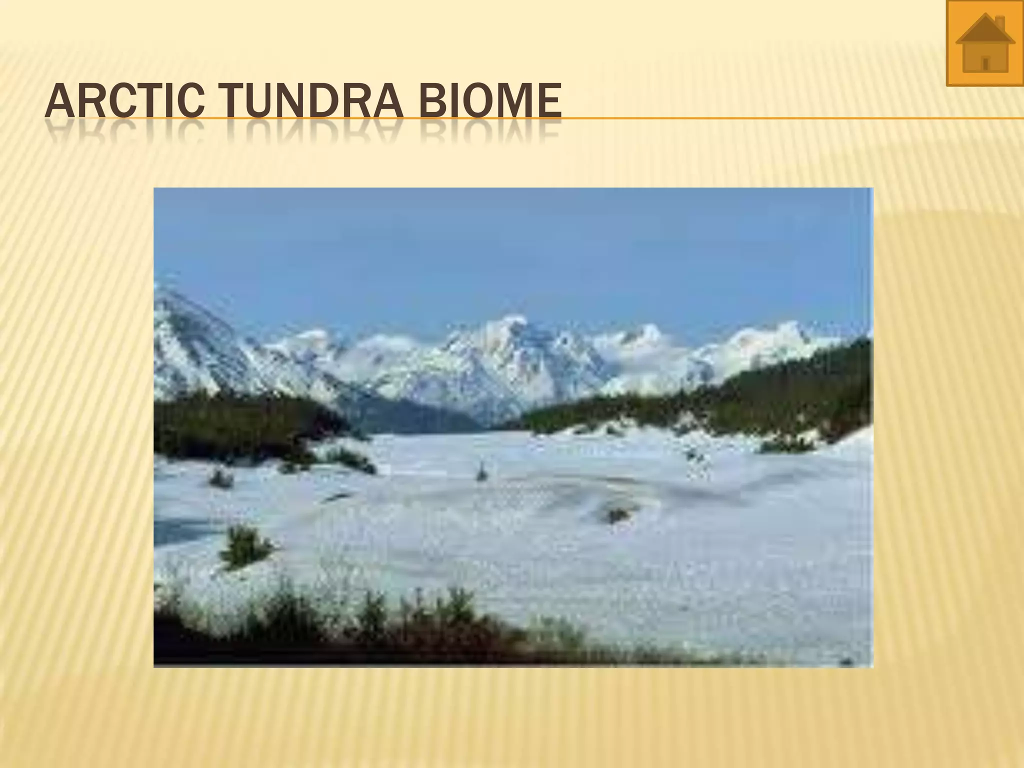 world biomes - animals and plants | PPTX