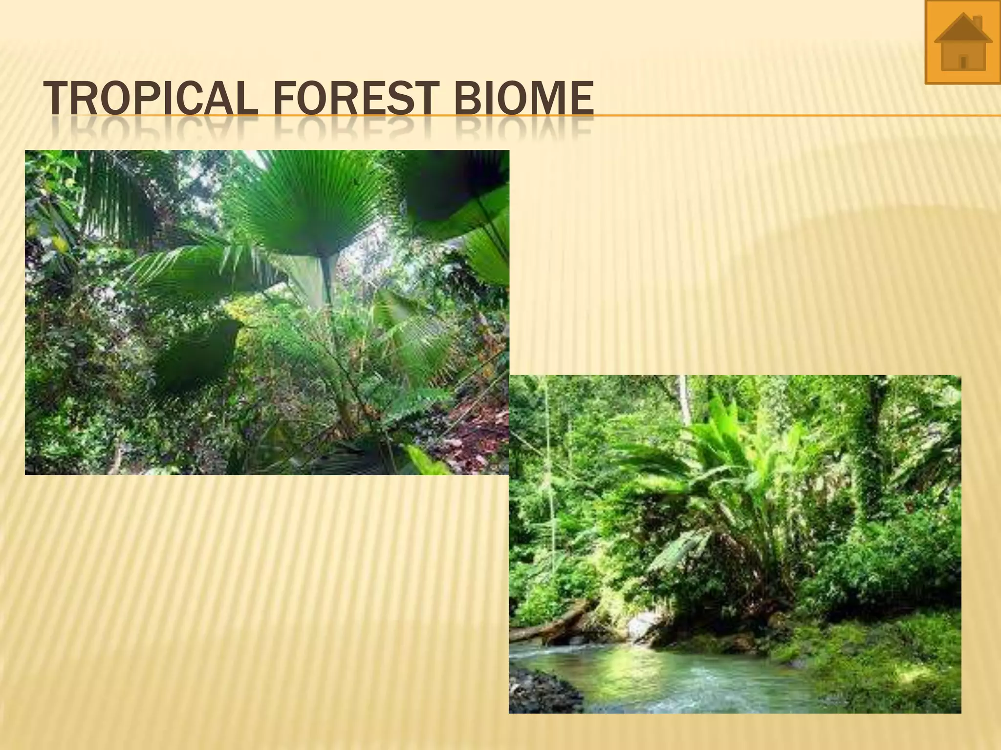 world biomes - animals and plants | PPTX