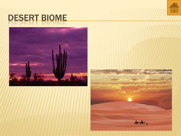 world biomes - animals and plants | PPTX