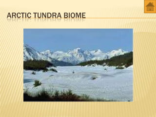 world biomes - animals and plants | PPTX