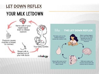 World breast feeding weeks.pptx