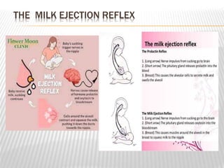 World breast feeding weeks.pptx