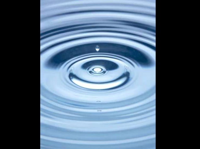 World cafe and curriculum development session v1 0 | PPTX